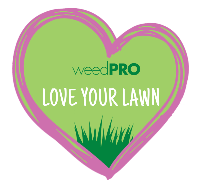 Cincinnati's Best Local Lawn Care Company | Weed Pro